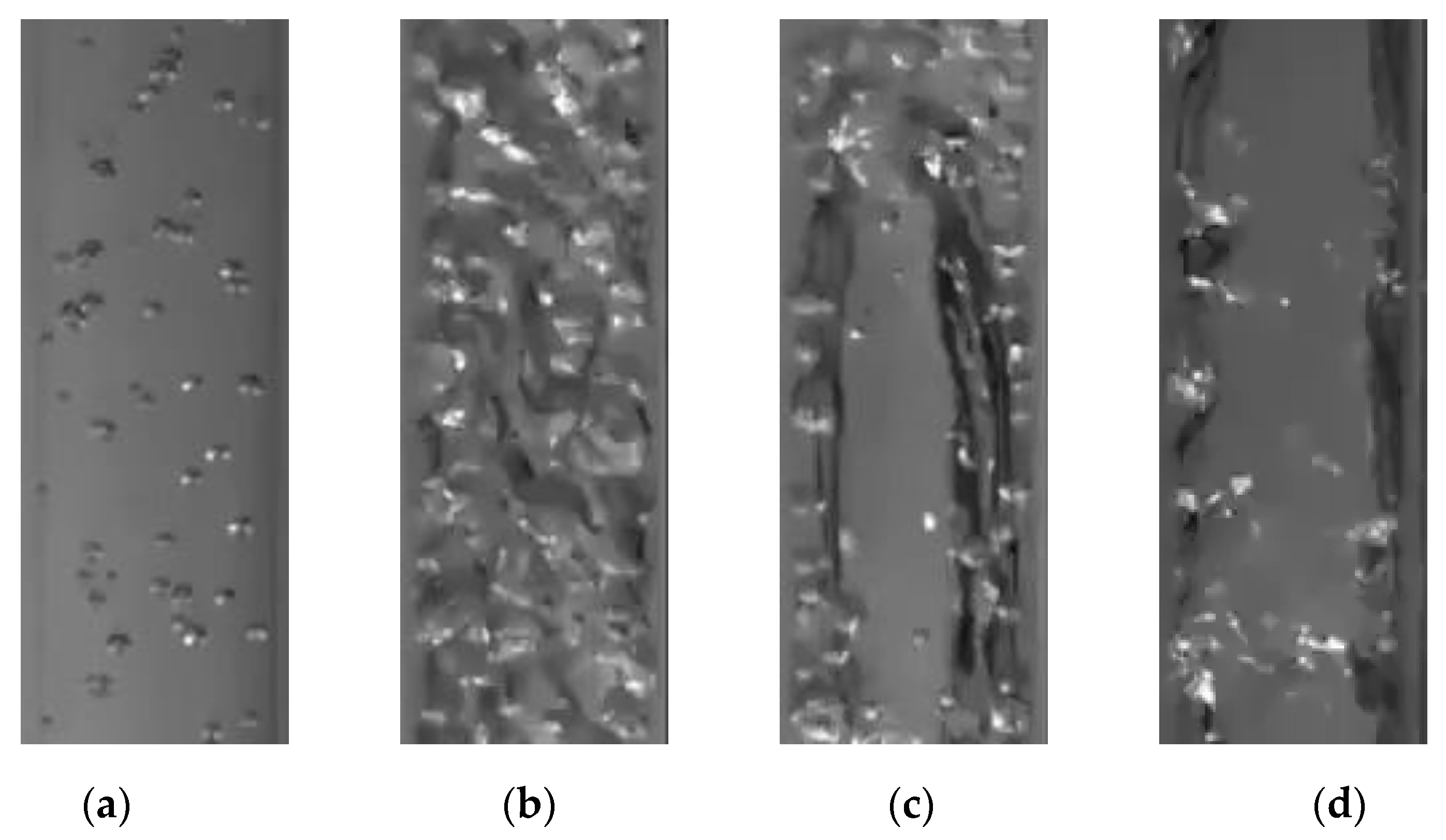 Jmse Free Full Text Two Phase Flow Pattern Identification By