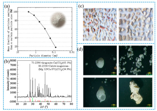 Mechanical Properties and Constitutive Model of Calcareous Sand ...