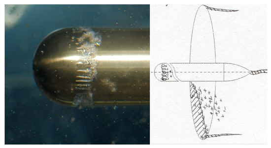 Multiphase Flow Simulation of ITTC Standard Cavitator for Underwater Radiated Noise Prediction