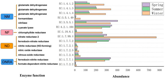 Seasonal and Spatial Variations of Bacterial Community Structure in the Bailang River Estuary