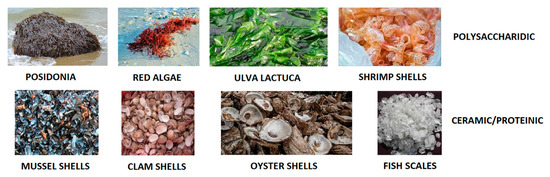 Use of Sea Waste to Enhance Sustainability in Composite Materials: A Review