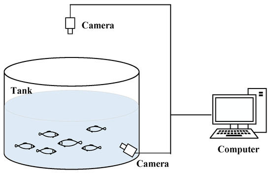 JMSE | Free Full-Text | Application of Deep Learning-Based Object ...