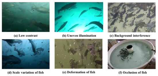 JMSE | Free Full-Text | Application of Deep Learning-Based Object ...