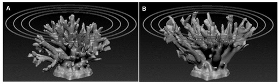 Three-Dimensional-Printed Coral-like Structures as a Habitat for Reef Fish