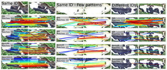 Finding Nemo’s Giant Cousin: Keypoint Matching for Robust Re ...