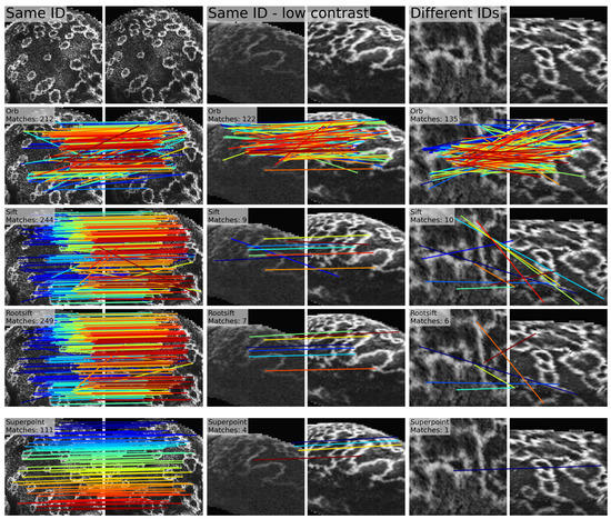 Finding Nemo’s Giant Cousin: Keypoint Matching for Robust Re ...