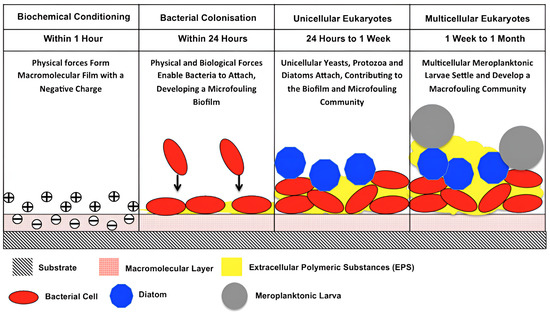 JMSE | Free Full-Text | Tidal Stream Turbine Biofouling Detection and Estimation: A Review-Based ...