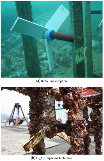 JMSE | Free Full-Text | Tidal Stream Turbine Biofouling Detection and Estimation: A Review-Based ...
