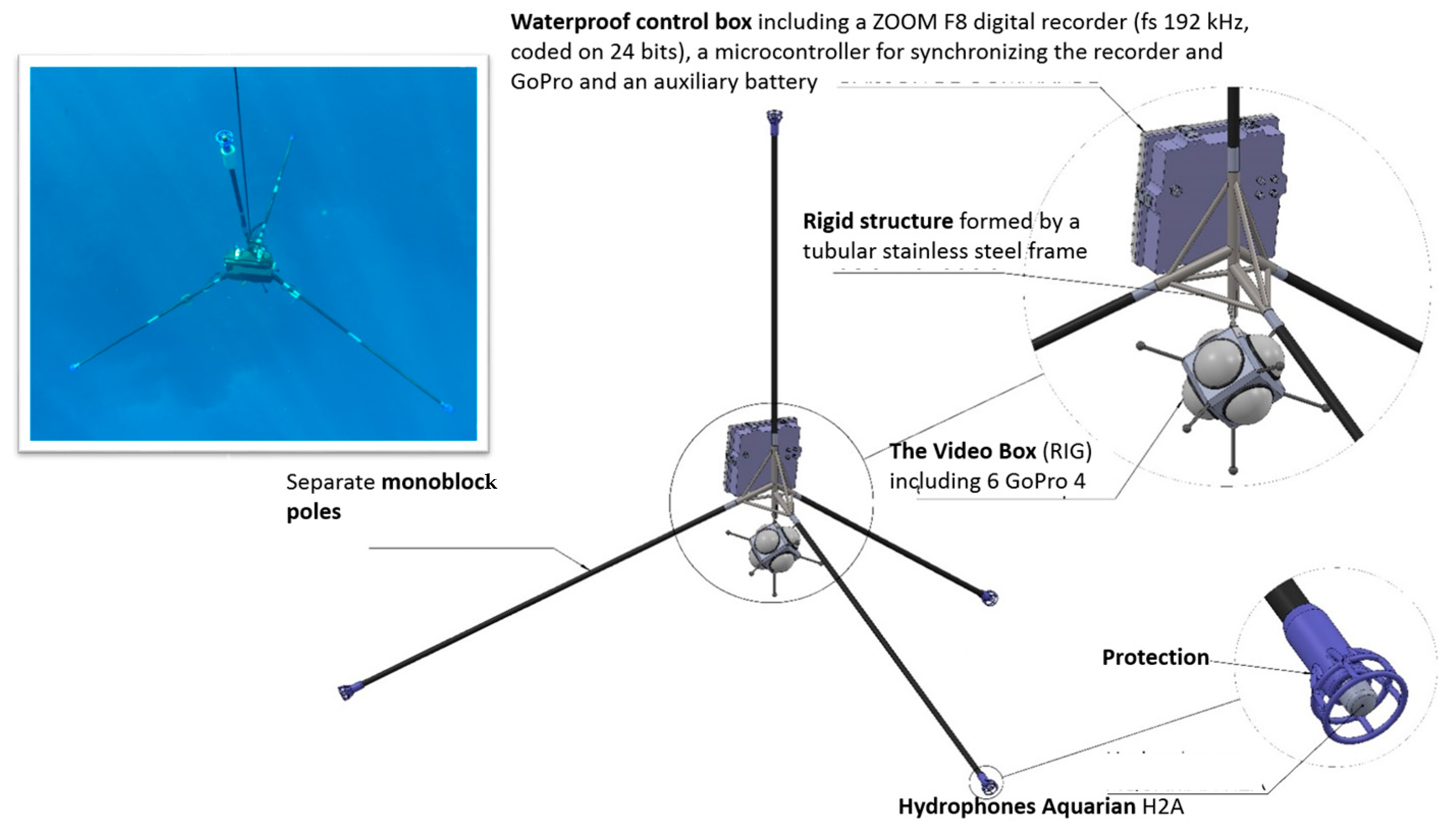 Performance Assessment of the Innovative Autonomous Tool CETOSCOPE ...