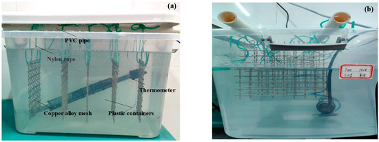 Study on the Corrosion Behavior of D36 Steel Plate and H62 Copper Alloy ...