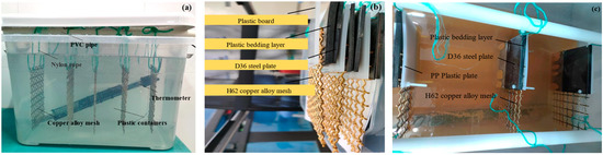 Study on the Corrosion Behavior of D36 Steel Plate and H62 Copper Alloy ...