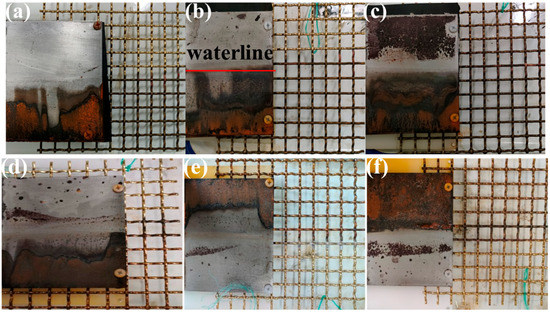 Study on the Corrosion Behavior of D36 Steel Plate and H62 Copper Alloy ...