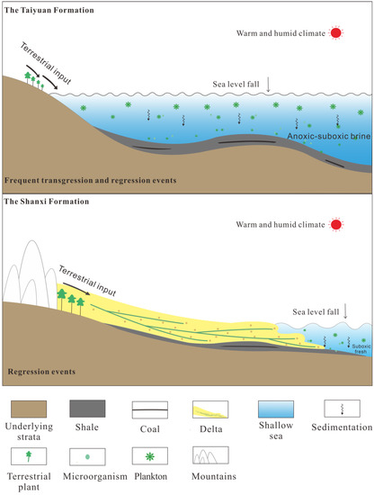 The Paleoenvironment and Mechanisms of Organic Matter Enrichment of ...