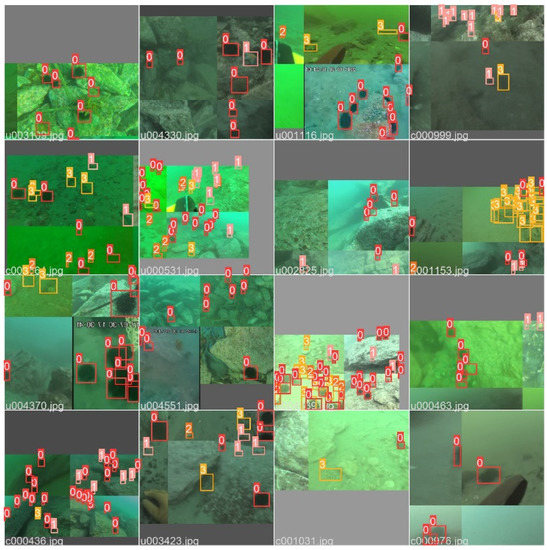 Jmse Free Full Text Underwater Ycc Underwater Target Detection Optimization Algorithm Based