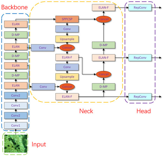 Underwater-YCC: Underwater Target Detection Optimization Algorithm ...