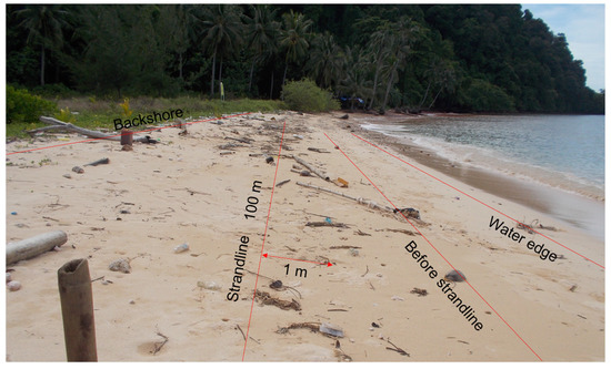 Abundance and Distribution of Macro- and Mesoplastic Debris on Selected ...