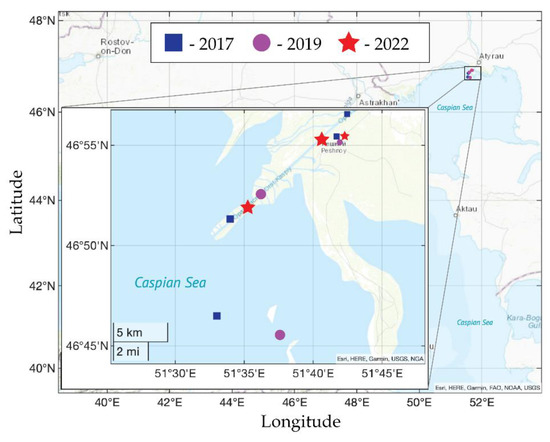 Airborne and Underwater Noise Produced by a Hovercraft in the North ...