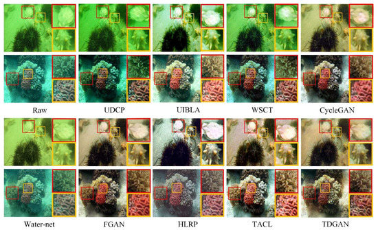 Underwater Image Enhancement via Triple-Branch Dense Block and Generative Adversarial Network