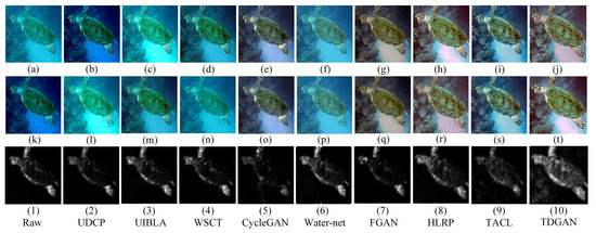 Underwater Image Enhancement via Triple-Branch Dense Block and Generative Adversarial Network