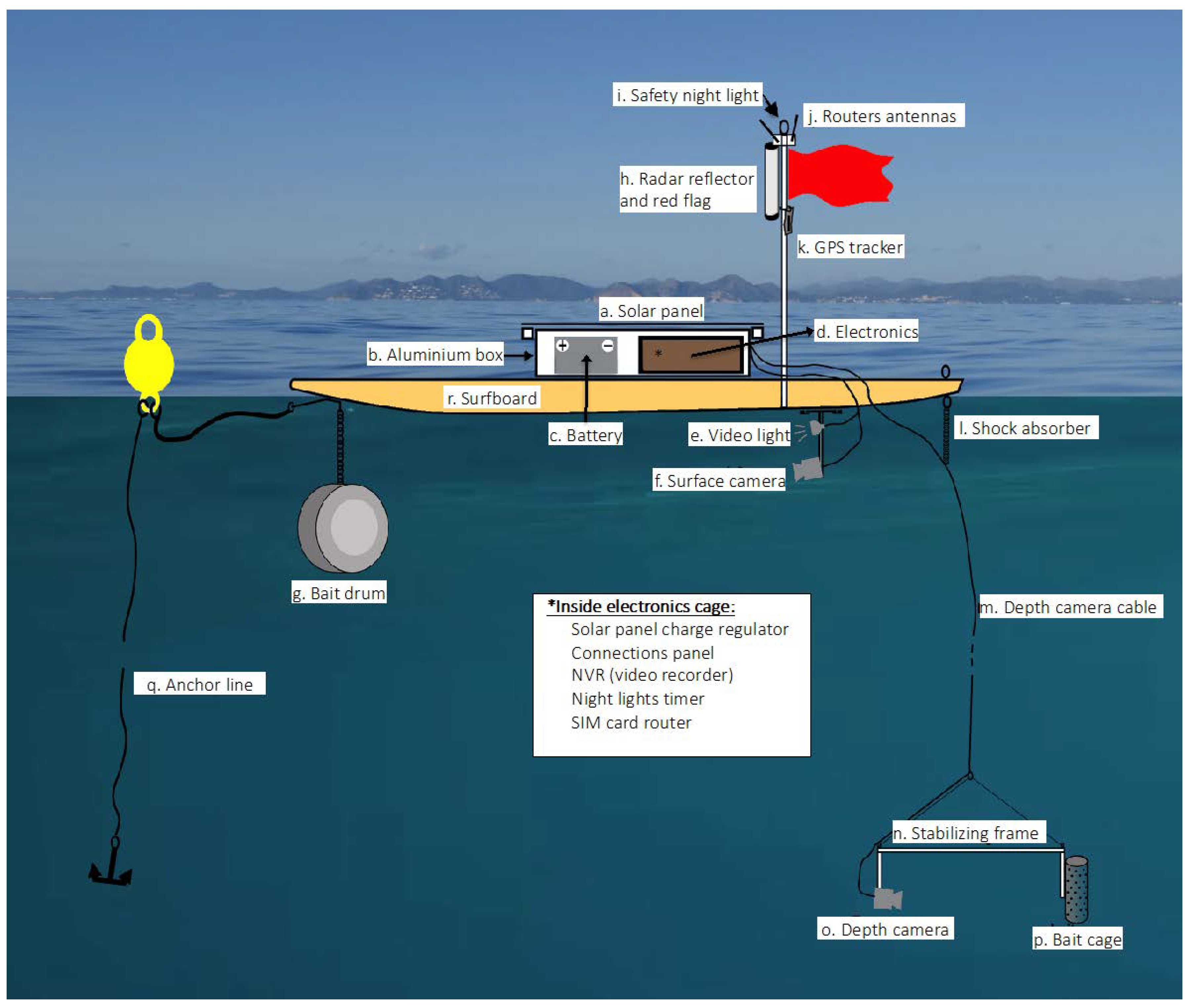 Improved Baited Remote Underwater Video (BRUV) for 24 h Real-Time ...