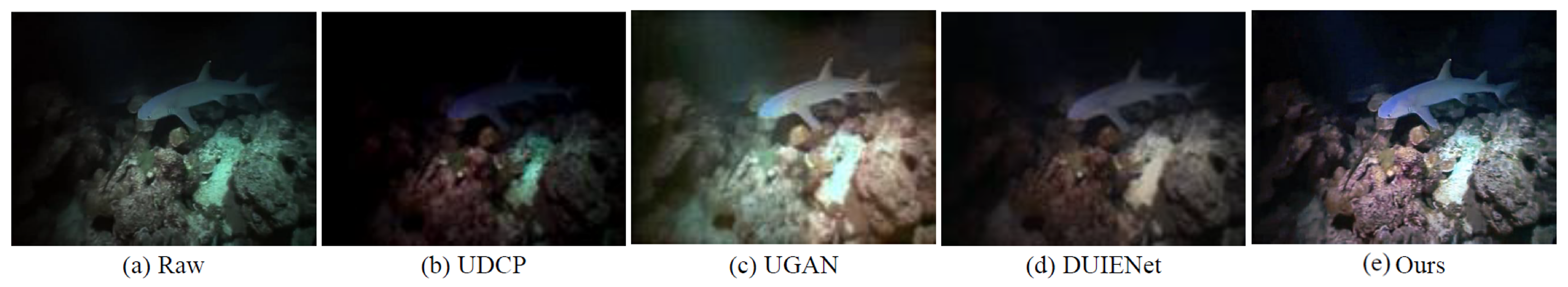 LEPF-Net: Light Enhancement Pixel Fusion Network for Underwater Image ...