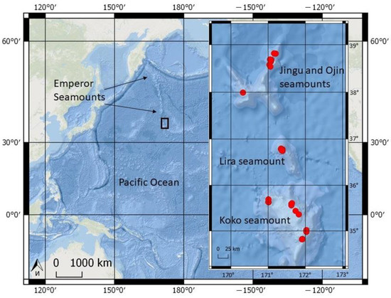 First Data on the Age and Growth of Schmidt’s cod Lepidion schmidti ...