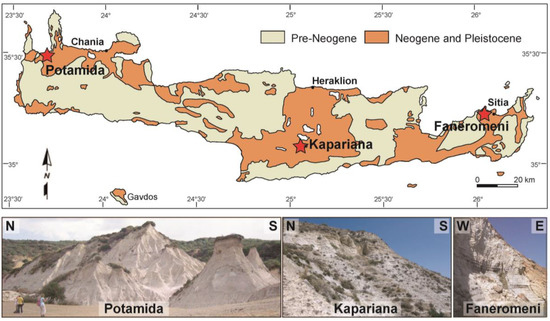 JMSE | Free Full-Text | Evolutionary Palaeoecological and Morphological ...