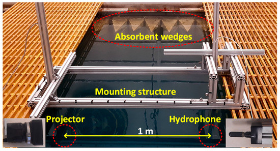 Cavitation Detection in a Tonpilz-Type Transducer for Active SONAR ...