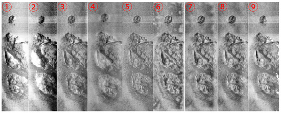 A Curvelet-Transform-Based Image Fusion Method Incorporating Side-Scan Sonar Image Features