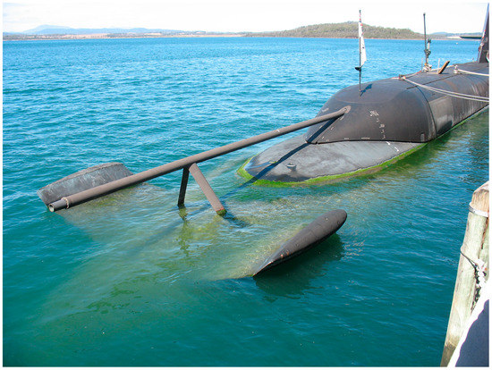 CFD Analysis of Biofouling Effect on Submarine Resistance and Wake