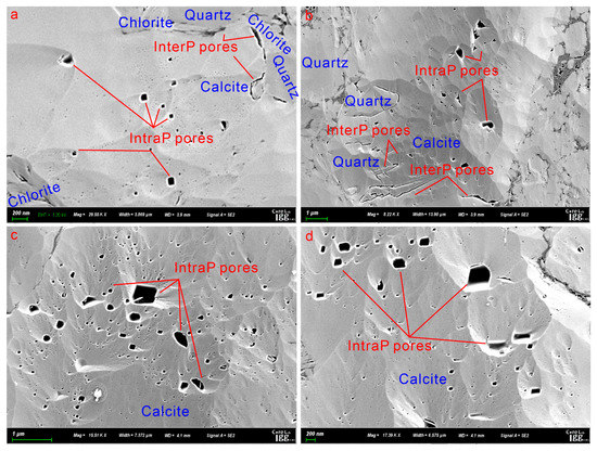 Contribution of Various Shale Components to Pore System: Insights from ...