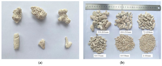 Experimental Study on Liquefaction Characteristics of Coral Gravelly ...