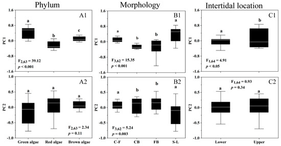 JMSE | Free Full-Text | Taxonomic and Morpho-Functional Photosynthetic ...