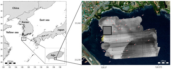 Relationship between Submerged Marine Debris and Macrobenthic Fauna in ...