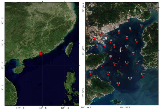 Microplastic Pollution and Its Potential Correlation with Environmental ...