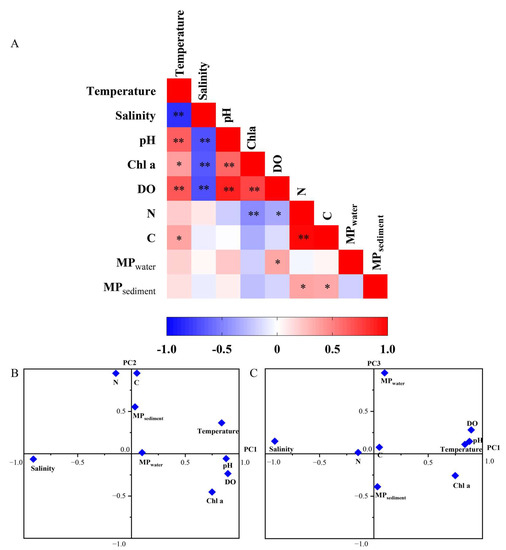 Microplastic Pollution and Its Potential Correlation with Environmental ...