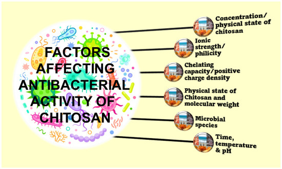 A Review on the Antimicrobial Activity of Chitosan Microspheres ...