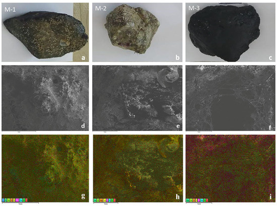JMSE | Free Full-Text | Does the Elemental Composition of Rock Surfaces ...