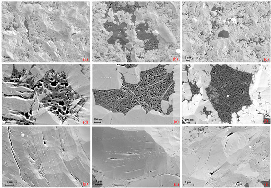 Complexity and Heterogeneity Evaluation of Pore Structures in the Deep ...