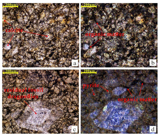 Experimental Characteristics of Hydrocarbon Generation from ...