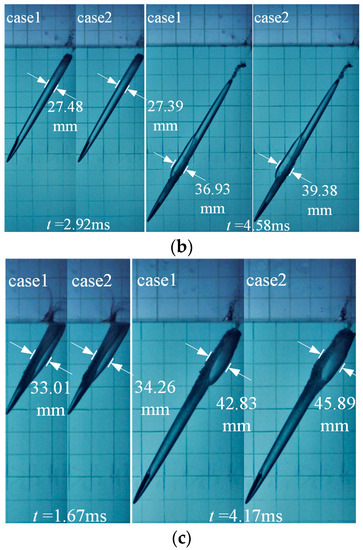 Experimental Investigation into the Tail-Slapping Motion of a ...