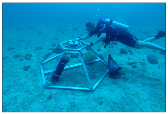 Baseline Measurements of Waves and Currents along the Coast of Oman