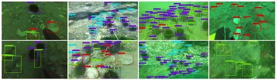 JMSE | Free Full-Text | Collaborative Framework for Underwater Object ...