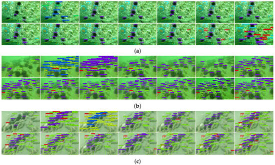 JMSE | Free Full-Text | Collaborative Framework for Underwater Object Detection via Joint Image ...