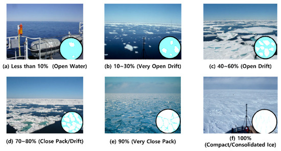 Application of Discrete Element Method Coupled with Computational Fluid ...