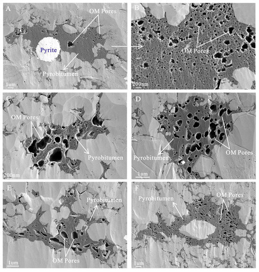Shale Gas Exploration and Development Potential Analysis of Lower ...