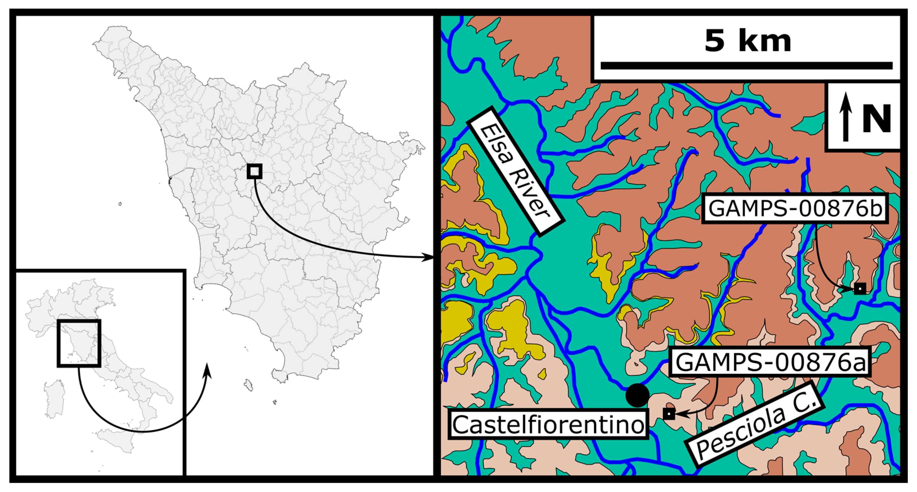 The Palaeobiology of the False Mako Shark, Parotodus benedenii (Le Hon ...