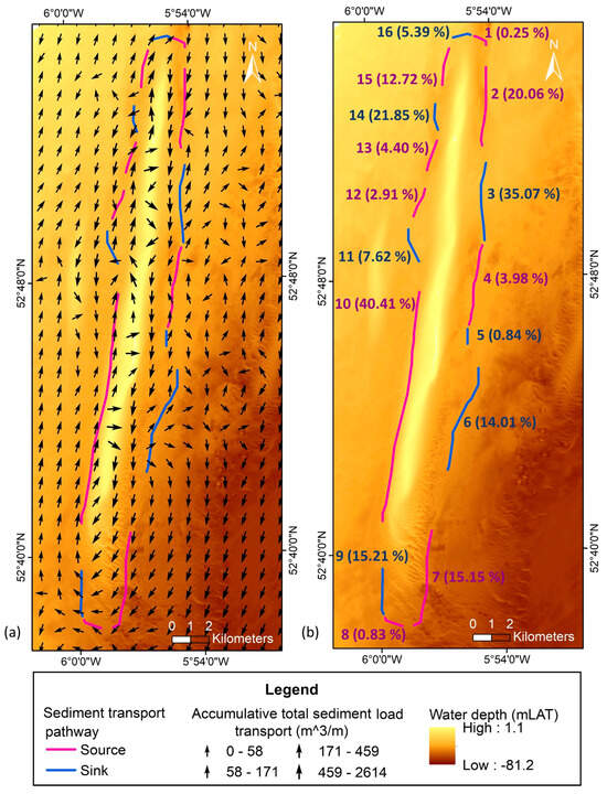 JMSE | Free Full-Text | Morphological Modelling to Investigate the Role ...