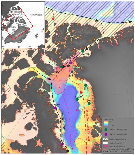 Distribution of Living Benthic Foraminifera in the Baffin Bay and Nares ...