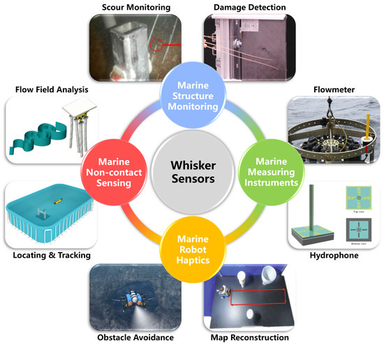 JMSE | Free Full-Text | Potential Applications of Whisker Sensors in Marine Science and ...